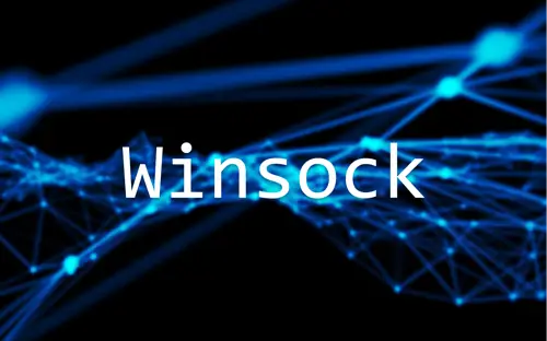 Winsock 윈속 - SoEasyGuide